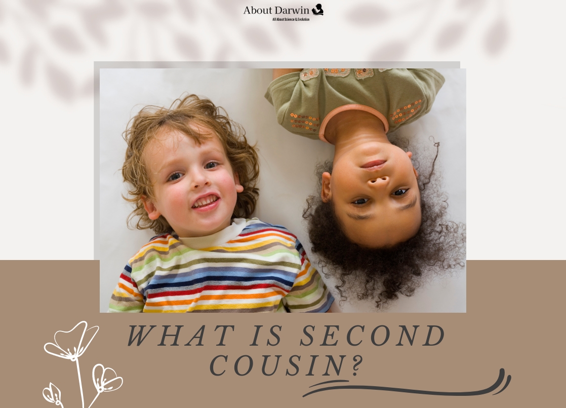 What Is A Second Cousin Explanation With Family Tree Chart what-is-a-second-cousin-explanation-with-family-tree-chart