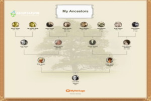 MyHeritage Family Tree Guide: Simplify Genealogy Research